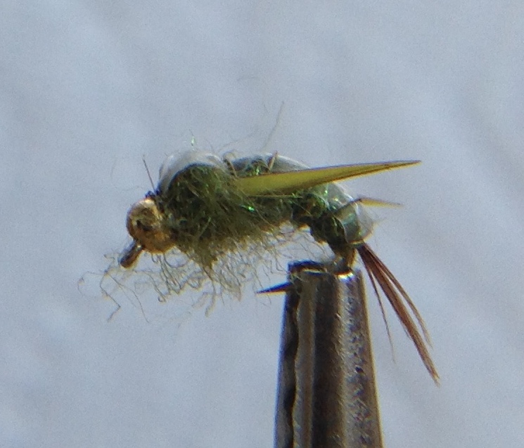 Bead Head, Evil Weevil - $1.50 : Glenbow Flyfishing, Fine Fly Fishing ...