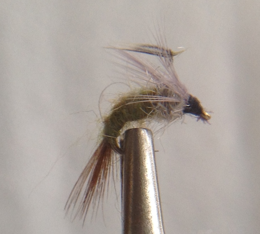 Blue Winged Olive Emerger Wet - $1.50 : Glenbow Flyfishing, Fine Fly ...