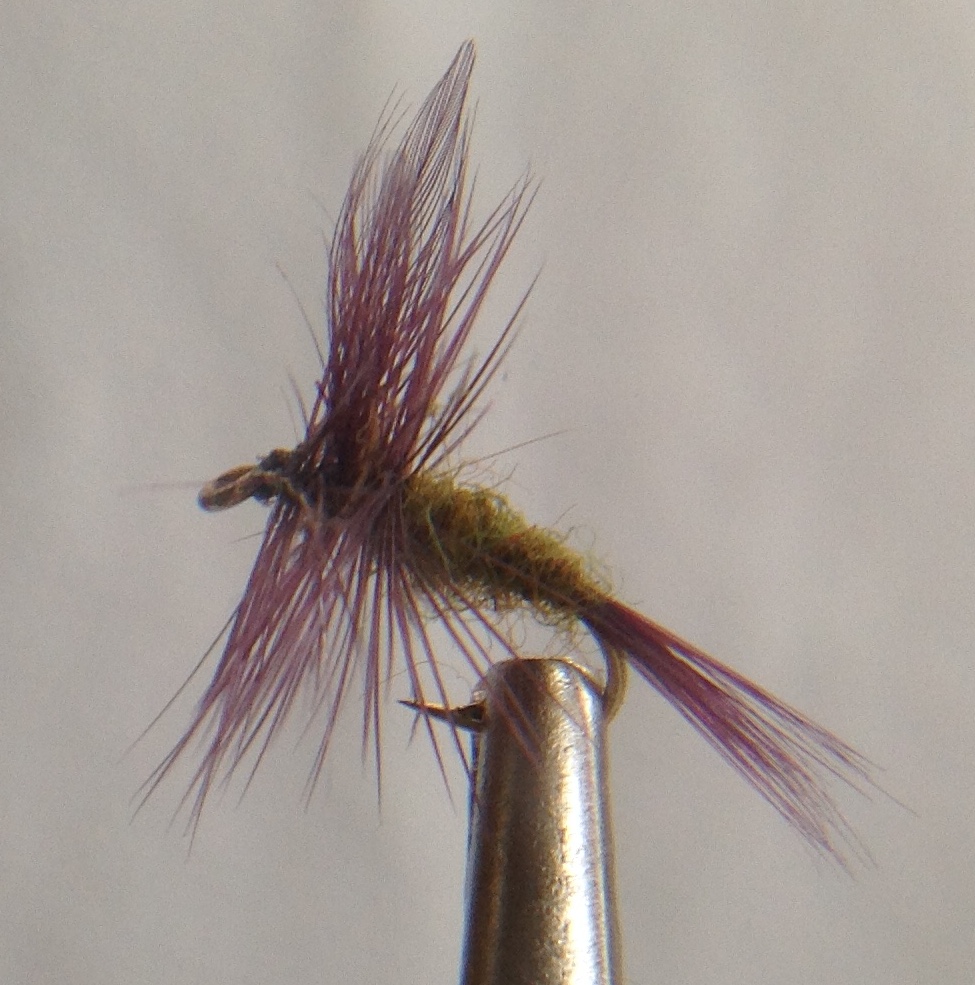 Blue Winged Olive - $1.50 : Glenbow Flyfishing, Fine Fly Fishing Flies ...