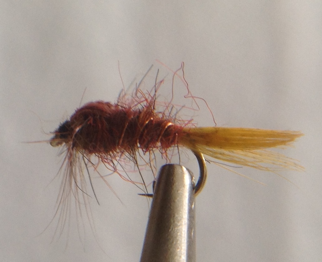 Brown Drake, Nymph -Size 12 - $1.50 : Glenbow Flyfishing, Fine Fly ...